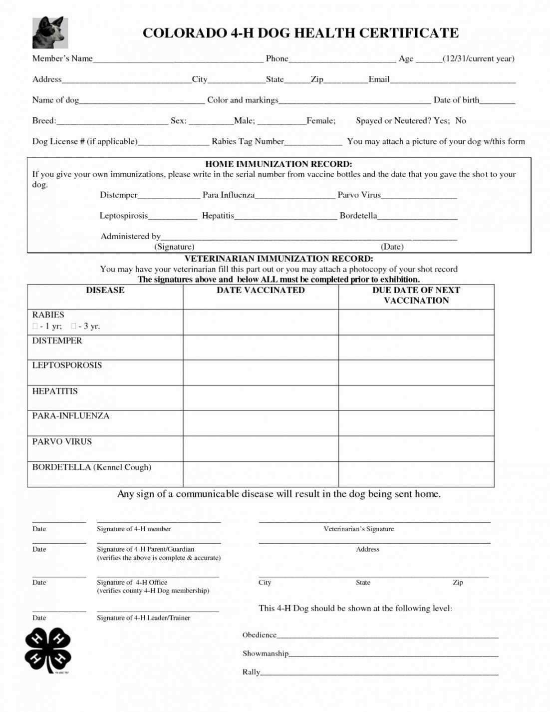 009 Template Ideas Pet Health Certificate Free Latter For Rabies 