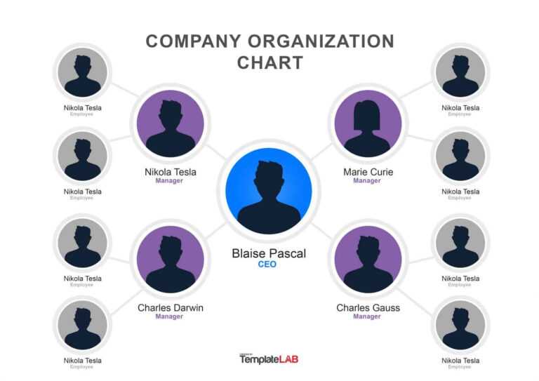 40 Organizational Chart Templates (Word, Excel, Powerpoint) with ...