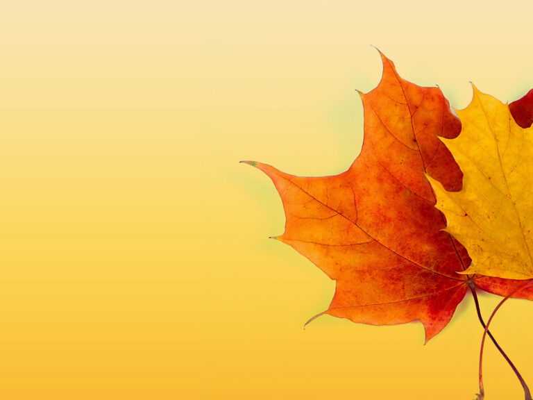 Autumn Ppt Background – Powerpoint Backgrounds For Free inside Free ...