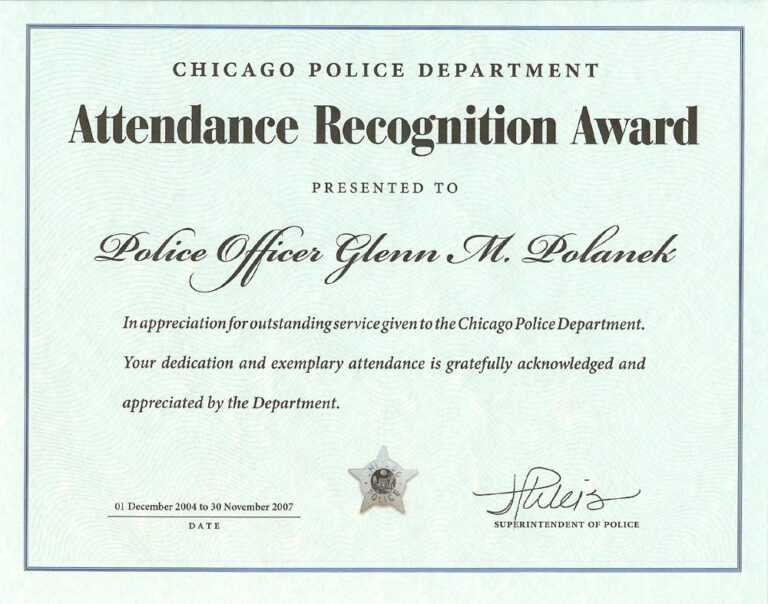 Ribbon Awards | Chicagocop within Life Saving Award Certificate ...